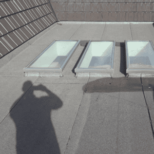 Roof Repairs & Leak Detection Auckland, NZ | Delta Roofing