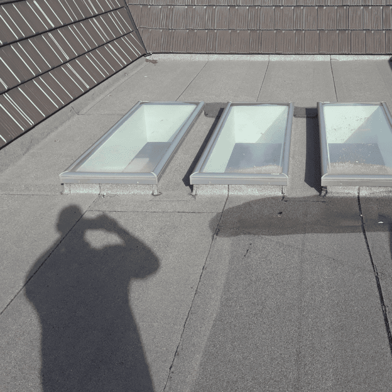 Roof Repairs & Leak Detection Auckland, NZ | Delta Roofing