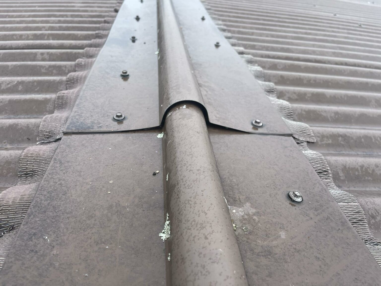 Roof Repairs & Leak Detection Auckland, NZ | Delta Roofing